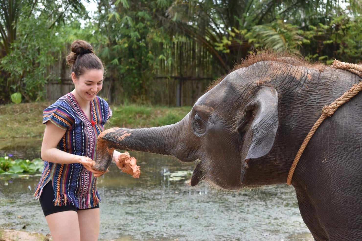 Elephant Care Park Phuket